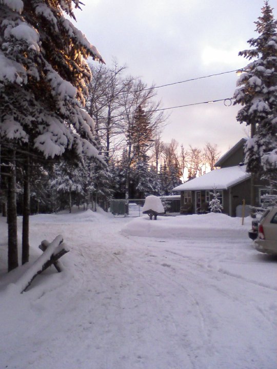 Photo Gallery – Solid Gold Pet Resort