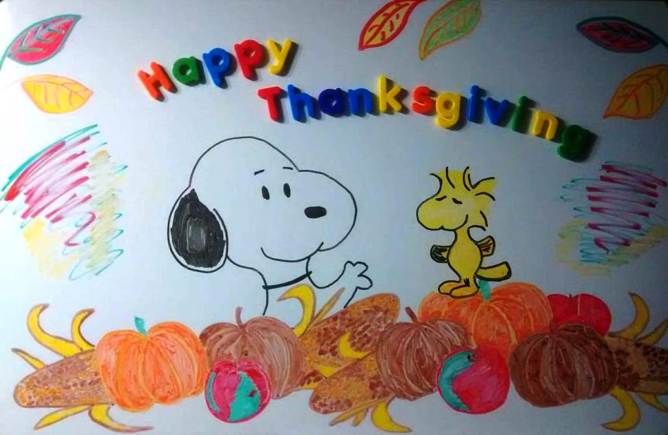 Photo Gallery – Solid Gold Pet Resort