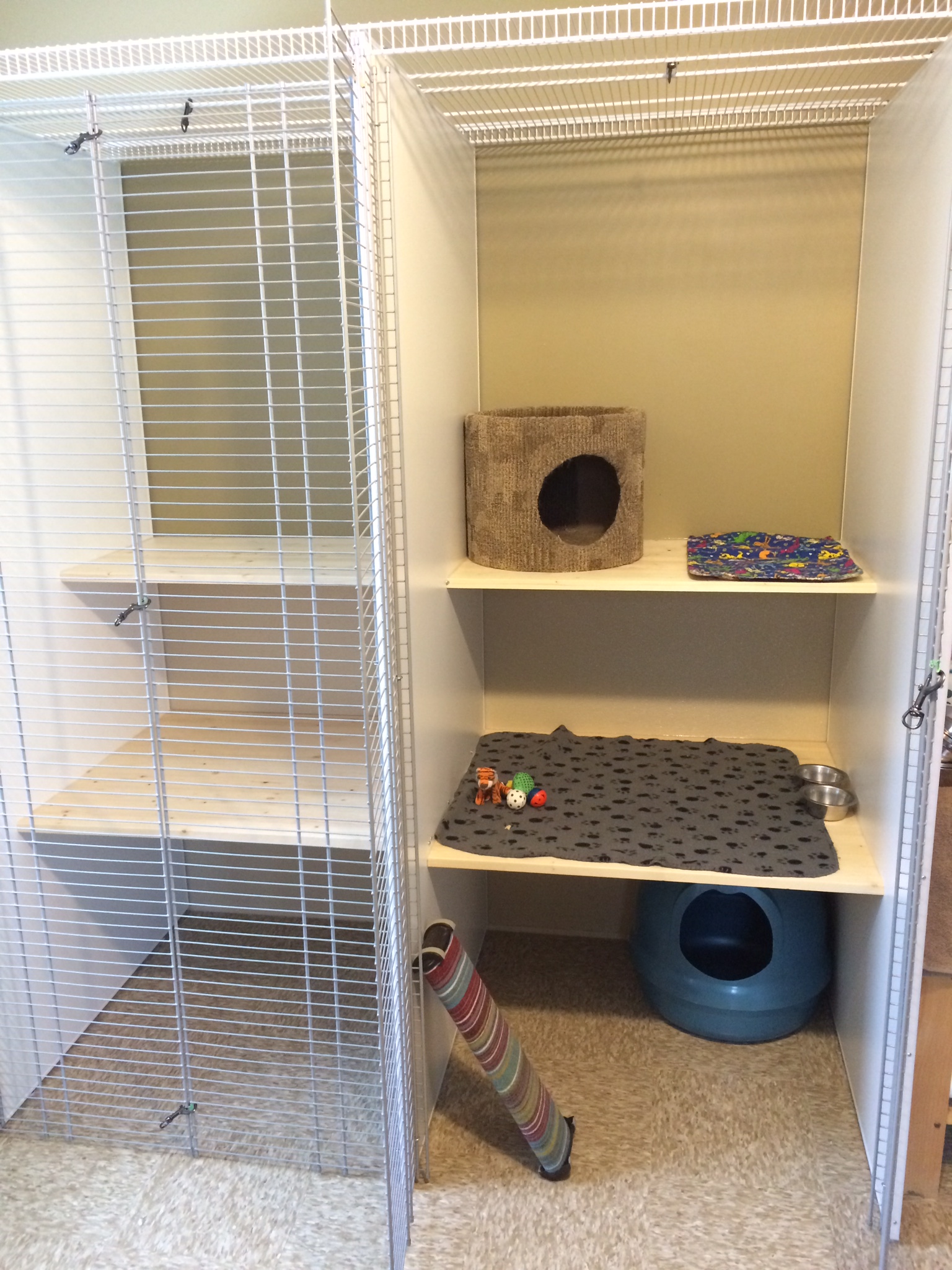 Photo Gallery – Solid Gold Pet Resort